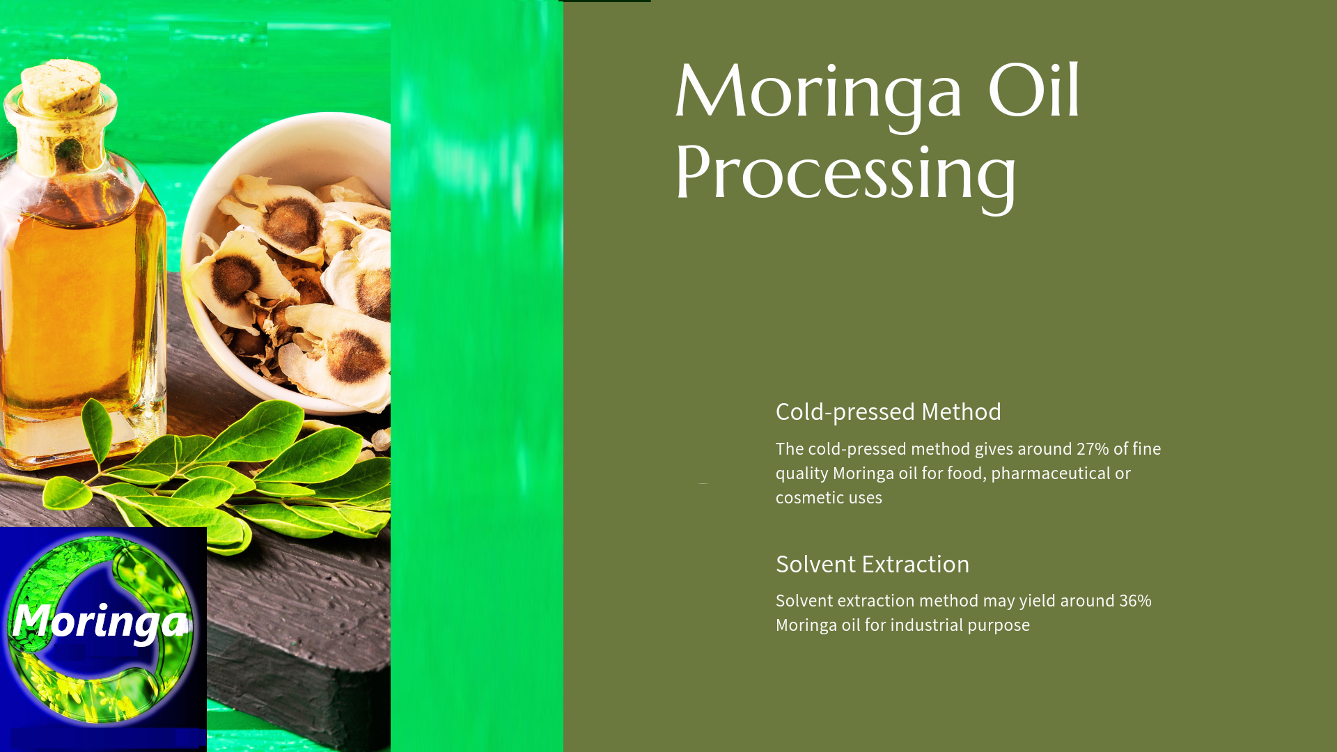 The Extraction of Moringa Oil: Cold Pressing vs. Solvent Extraction ...